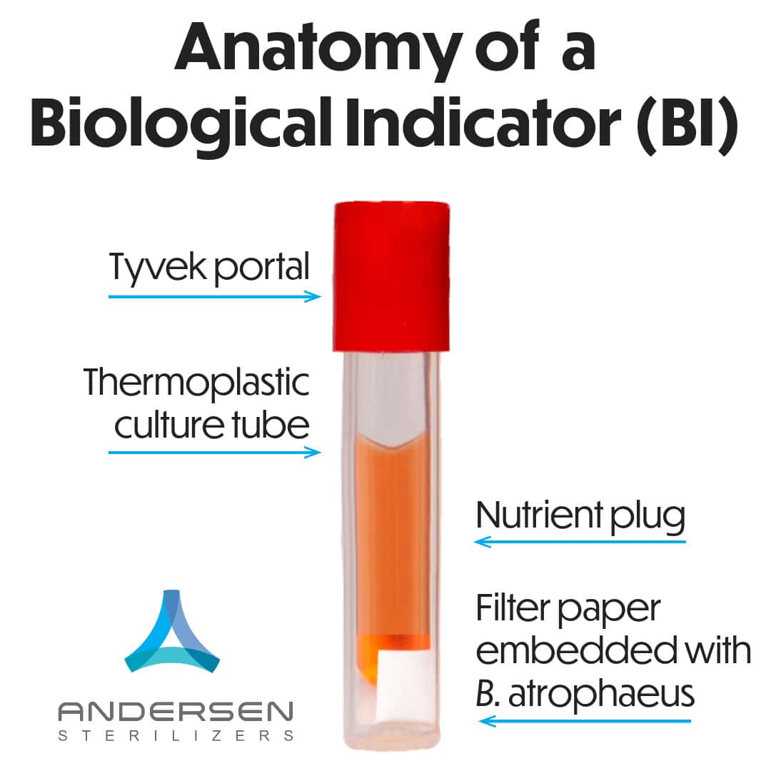 Biological Indicator: Igniting Innovation in the Industry